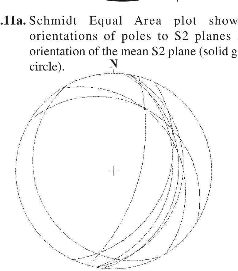 B. schmidt equal area plot showing orientations of s1