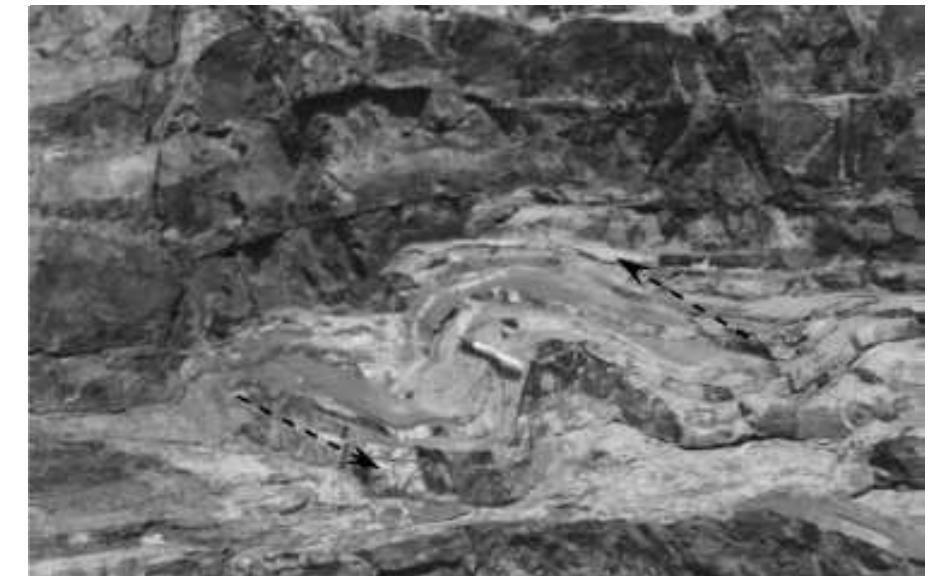 Asymmetric minor folds in limb of major f2 structure, near