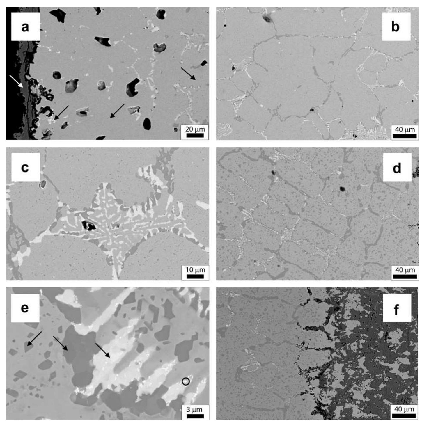 Sem bse images illustrating cross sections of samples from