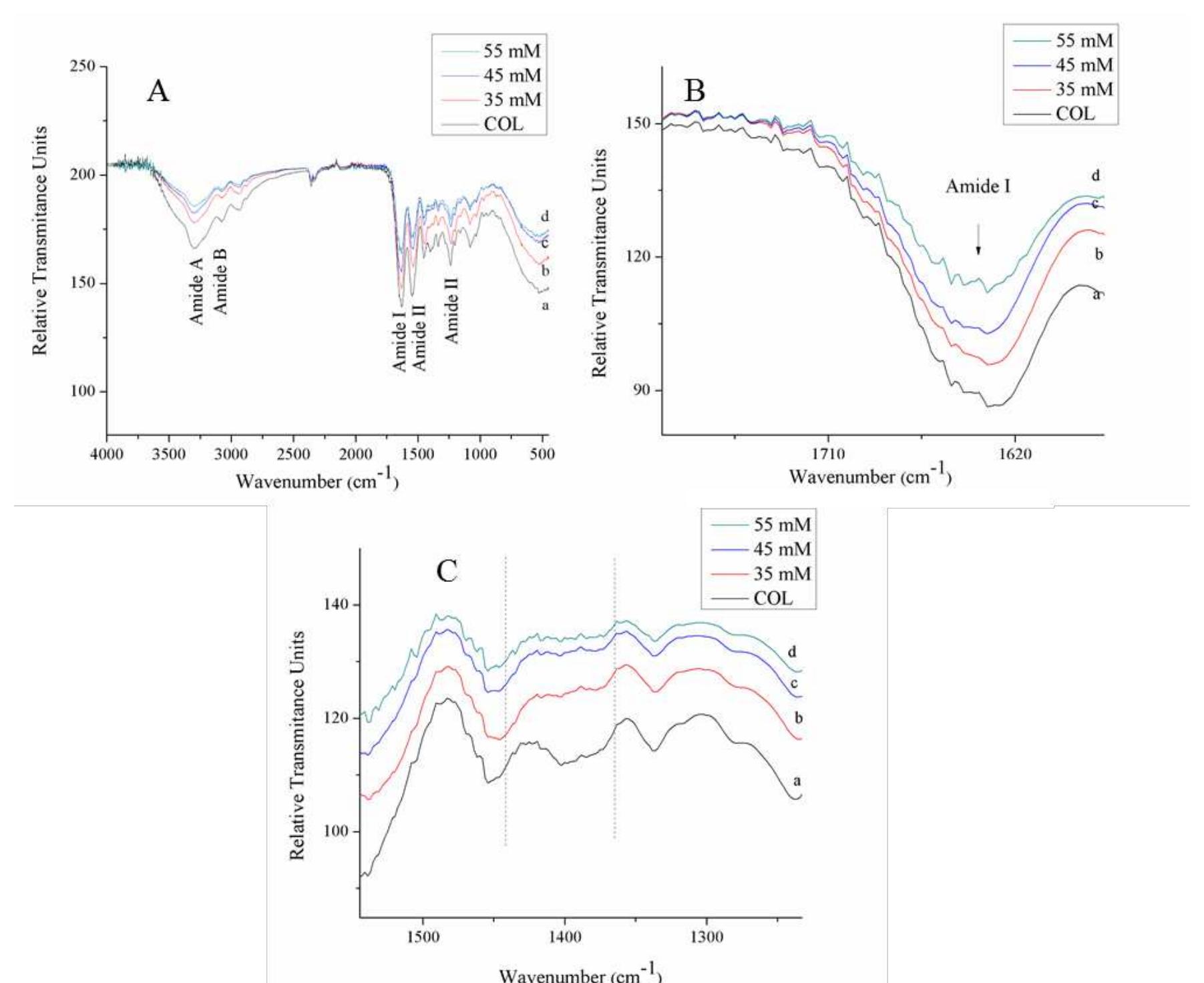 Ft-ir spectra of collagen-edc scaffolds. all spectra show