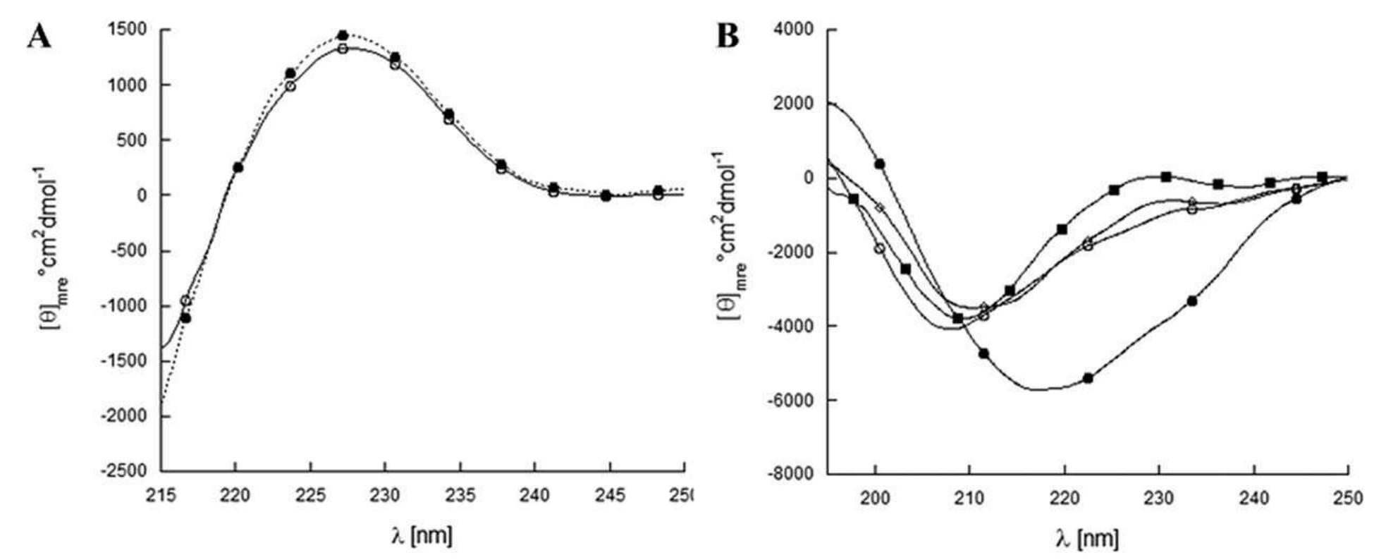 Conformational equilibrium modulation of (a) 33-mer peptide
