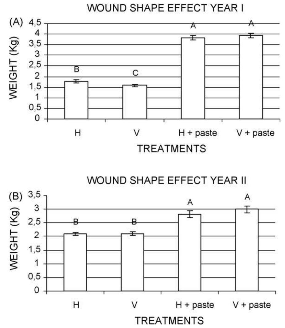 effect of wound shape (h = horizontal; v = v-shaped) on