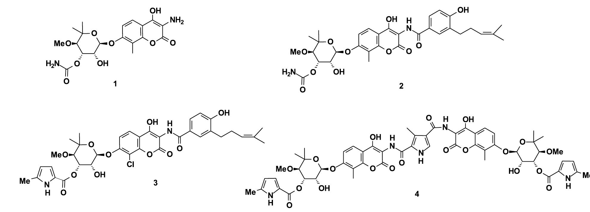 Structure of novenamine 1, novobiocin 2, clorobiocin 3 and