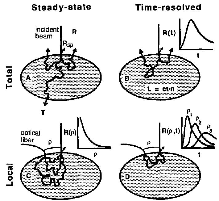 Figure 1 - from Optical Reflectance and Transmittance of