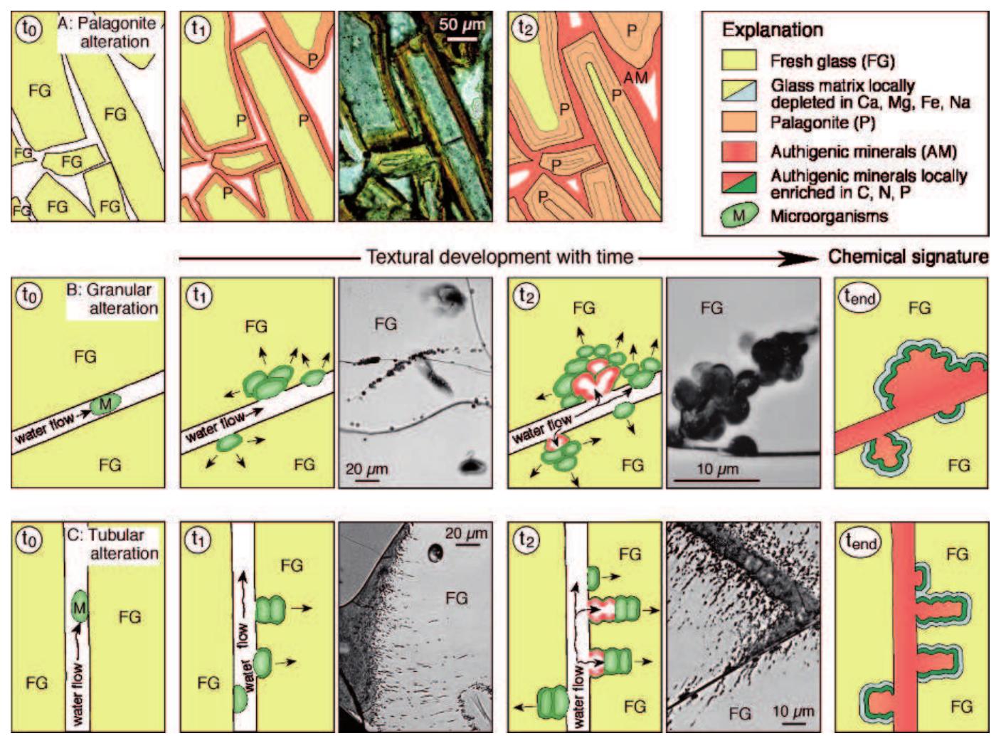 Schematic diagram showing the generation of alteration
