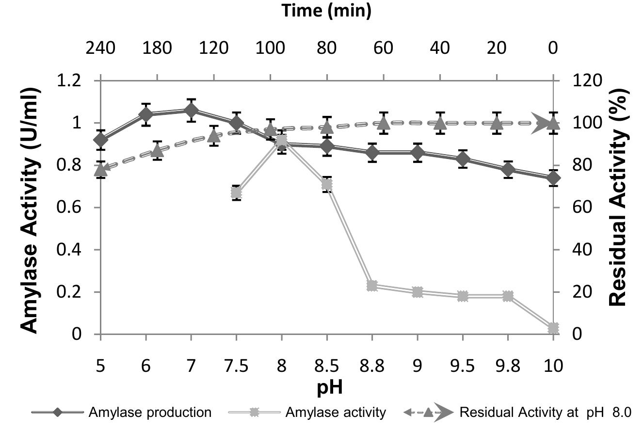 Production of amylase at different ph and kinetic studies of
