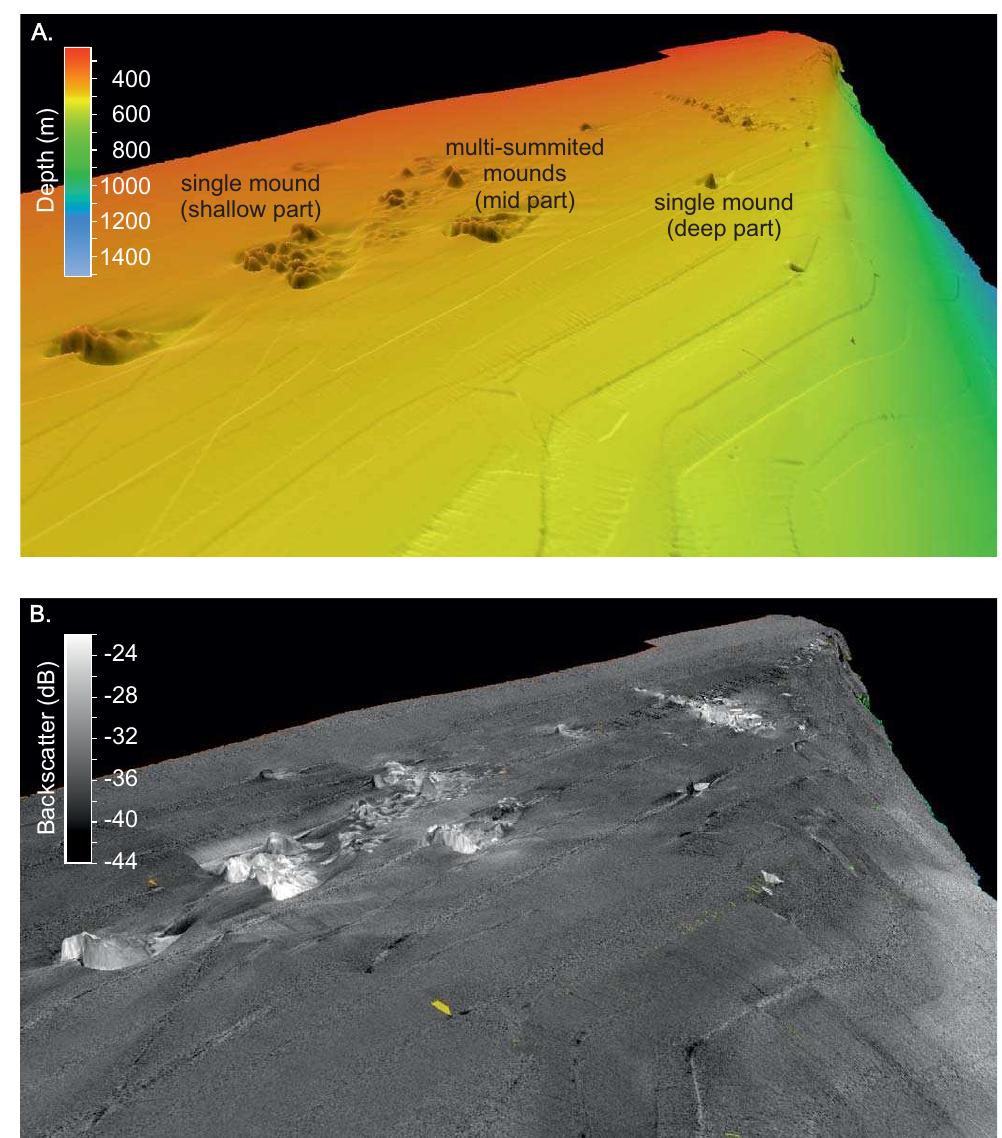 3-d multibeam bathymetry (a) and backscatter map (b) of the 3-d multibeam bathymetry (a) and backscatter map (b) of the