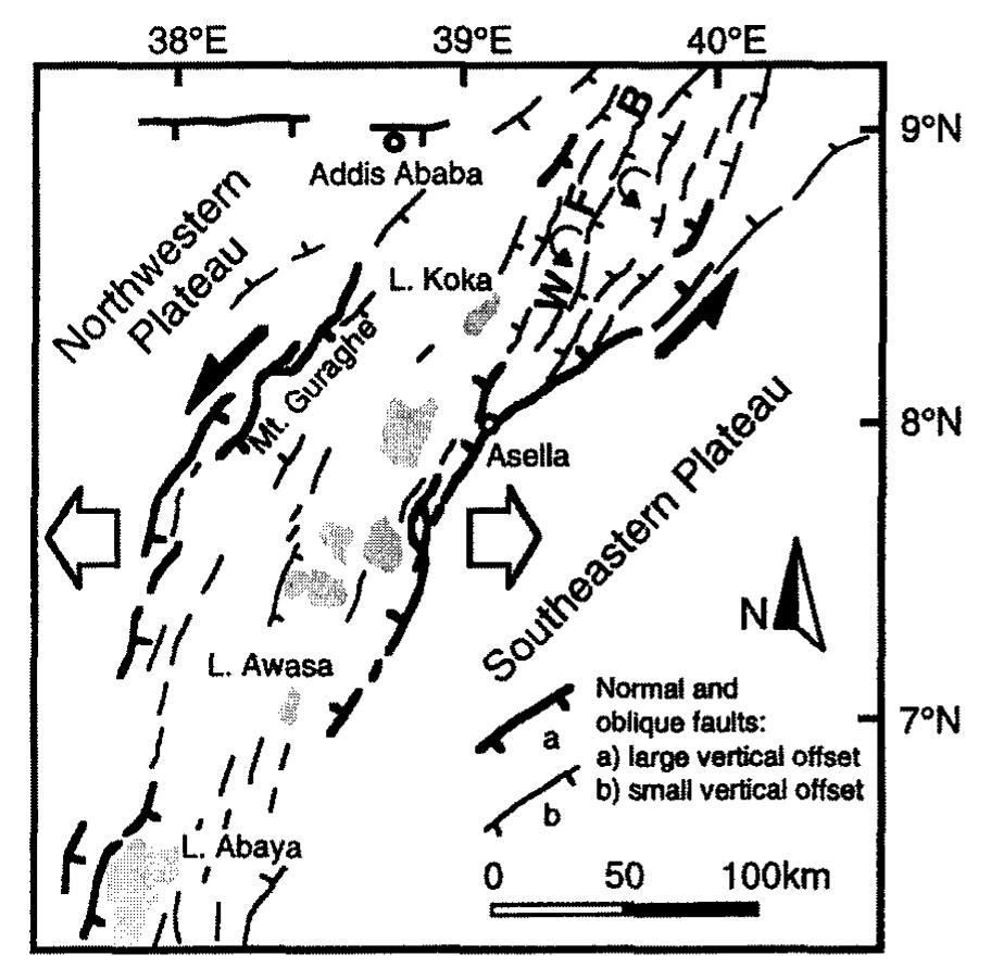 Schematic kinematic model of the main ethiopian rift during