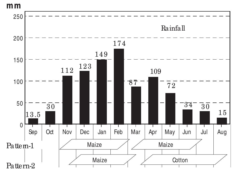 Monthly rainfall and maize-based cropping pattern in the