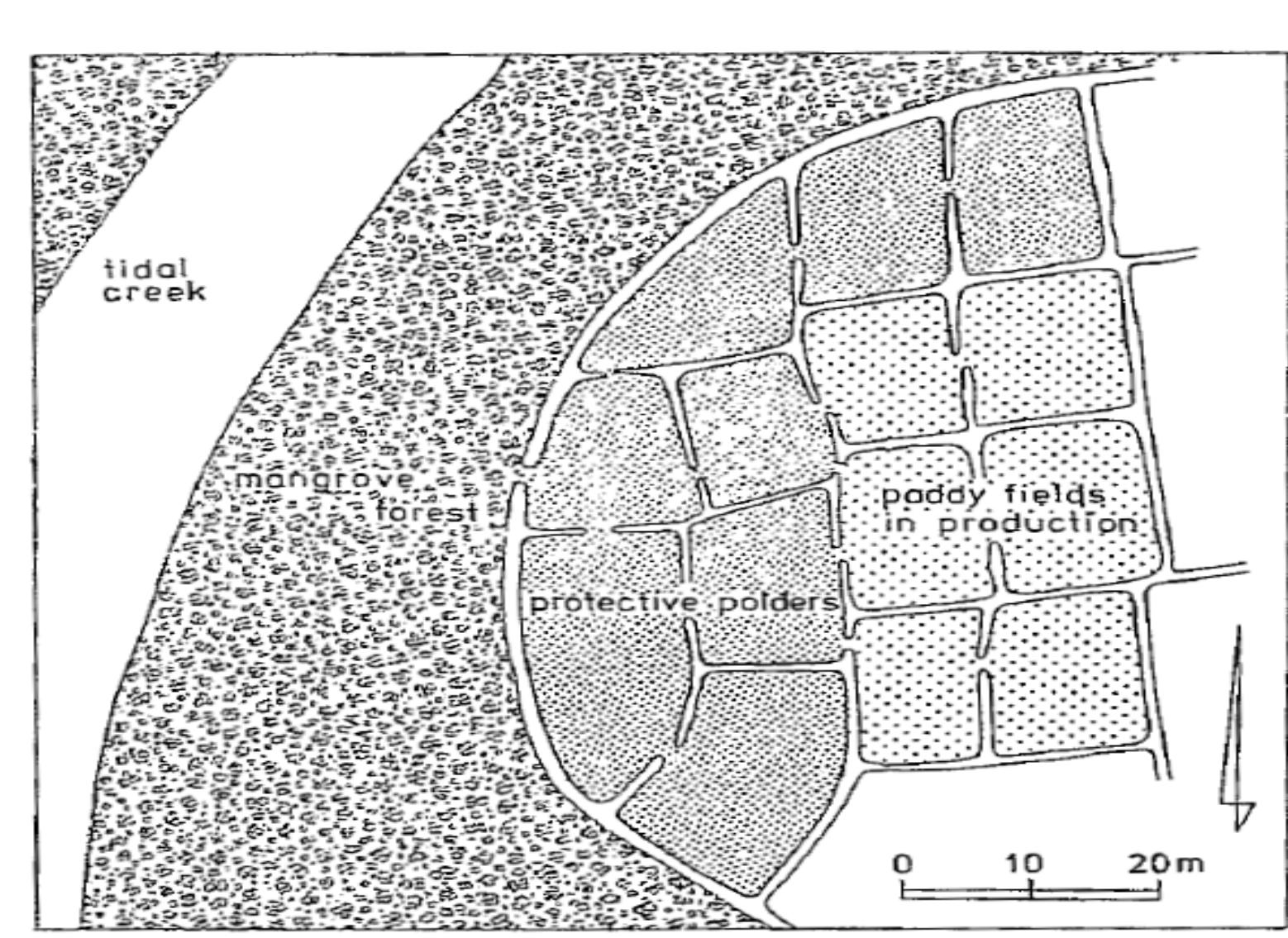 Site development (polders, drains, anti-salt dams) in