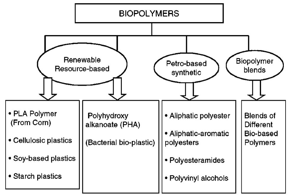 Classification of biopolymers. biodegradable polymers need