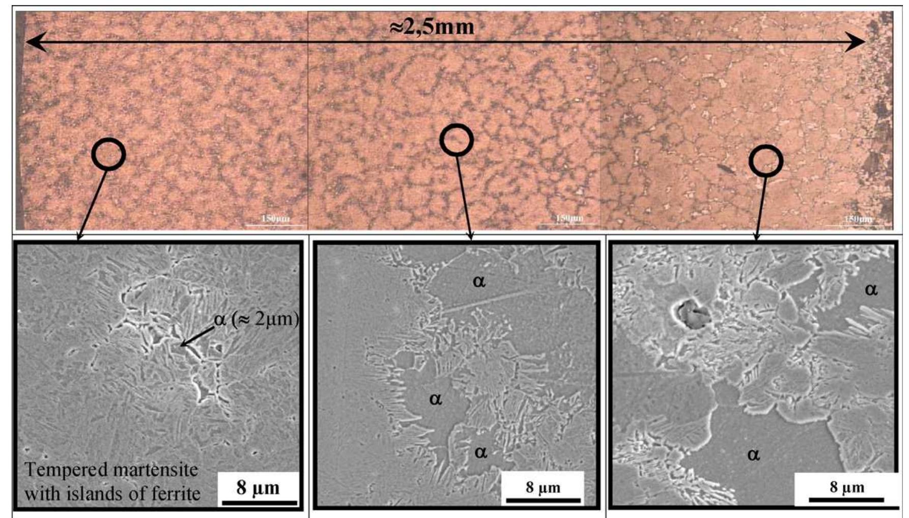 Microstructures over the cross section of a specimen from