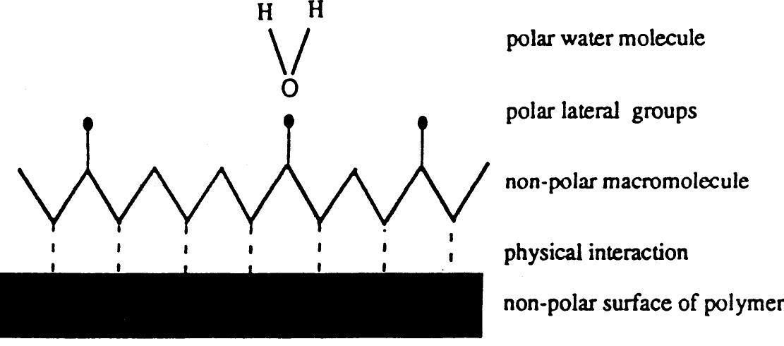 Adsorption mechanism of surface-active reagents at the