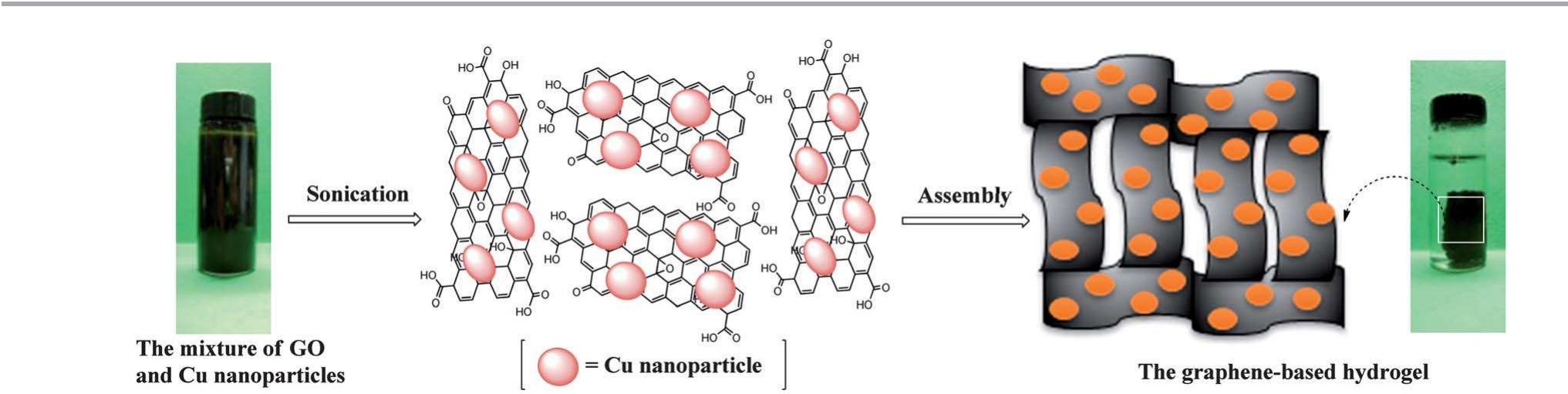 Schematic illustration of the formation mechanism of the
