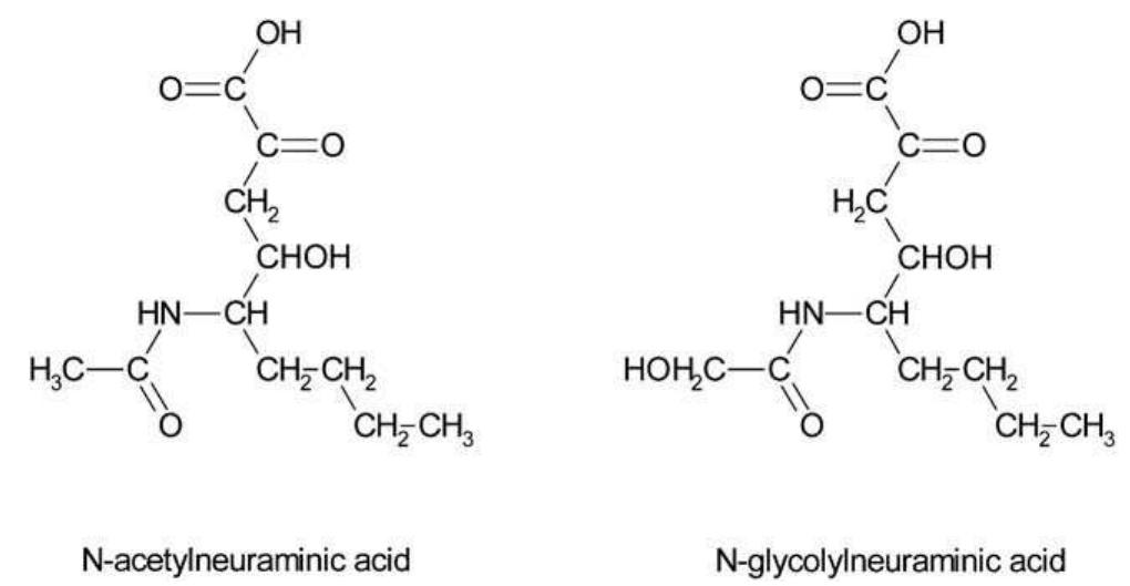 Chemical structures of n-acetylneuraminic acid and n-glyco-
