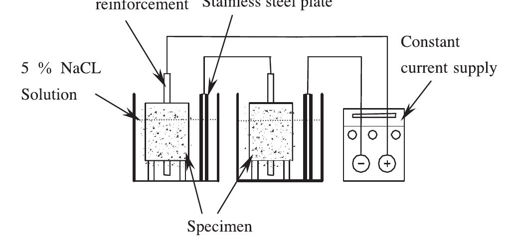 Schematic representation of the electrochemical system.