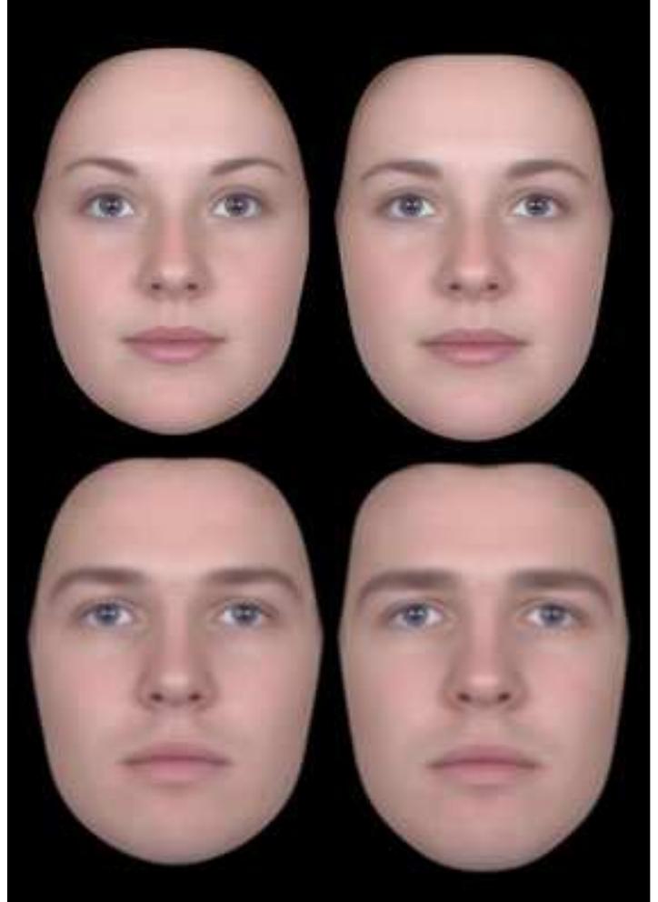 |. examples of feminized (left) and masculinized (right)