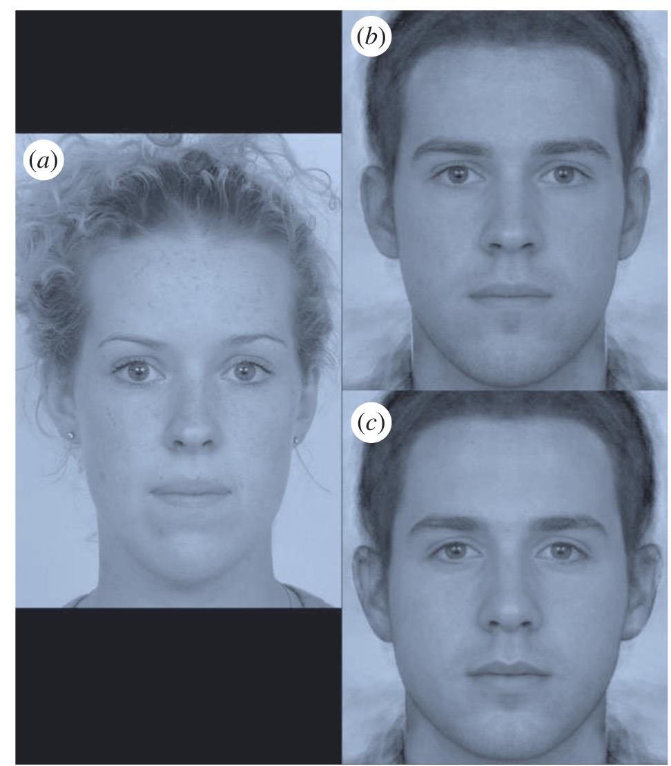 Transforms of self-similarity. (a) original picture, (6)