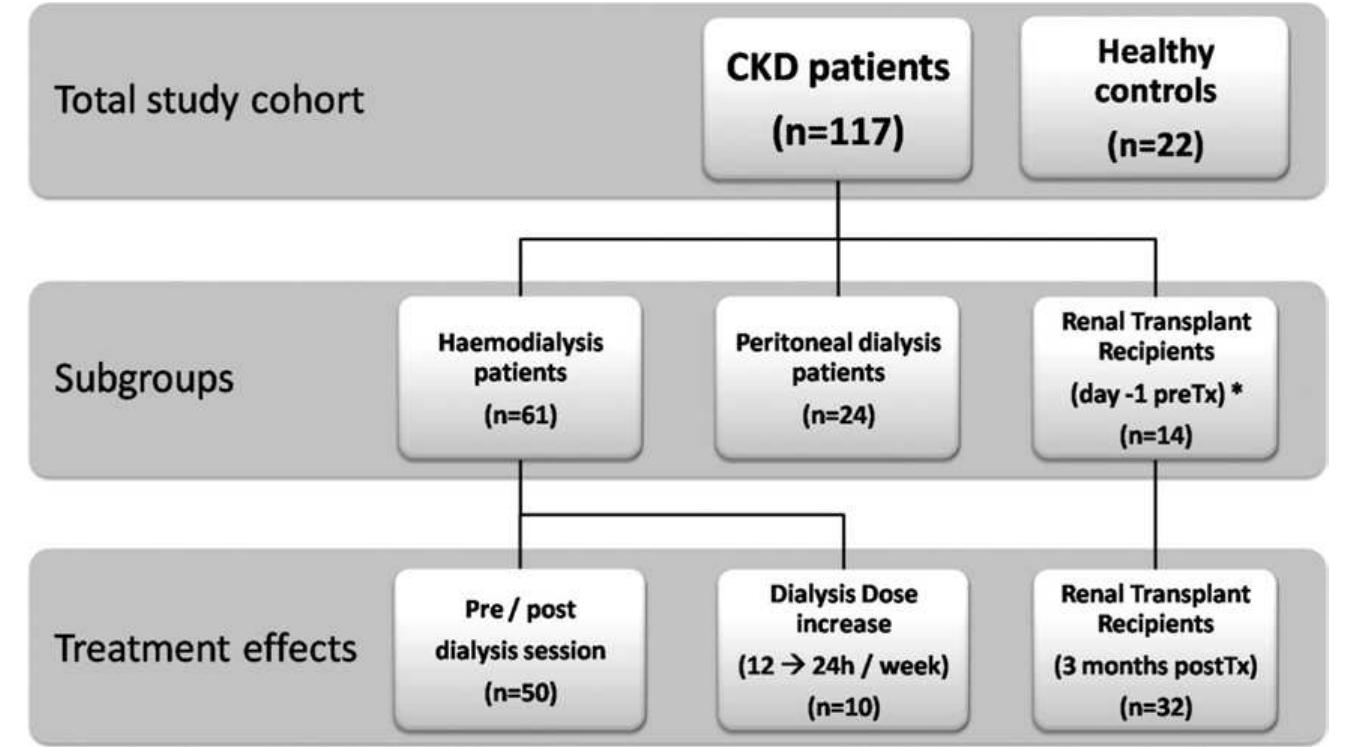 Flowchart shows the different study groups (level 2) and