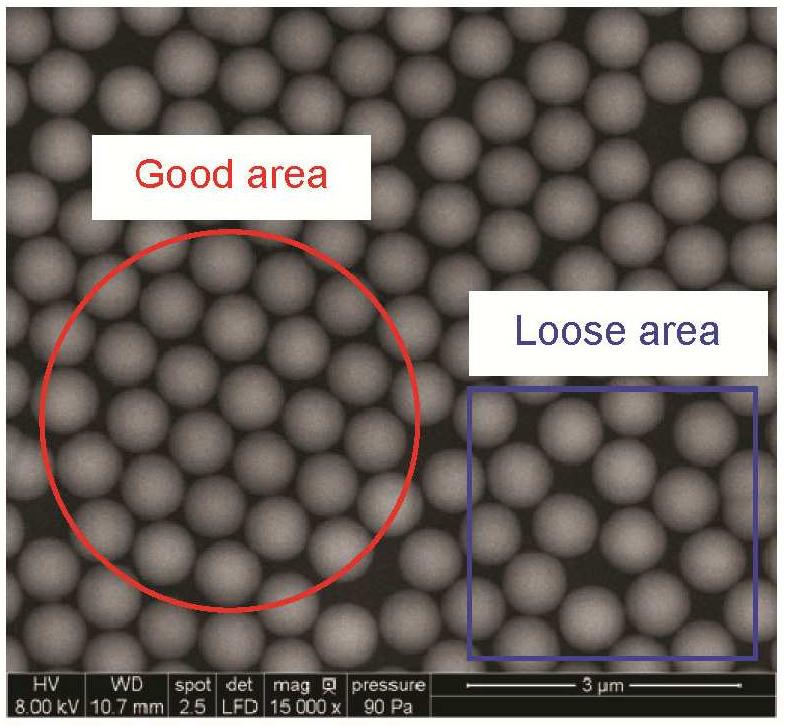 A typical scanning electron microscope image of 2-d