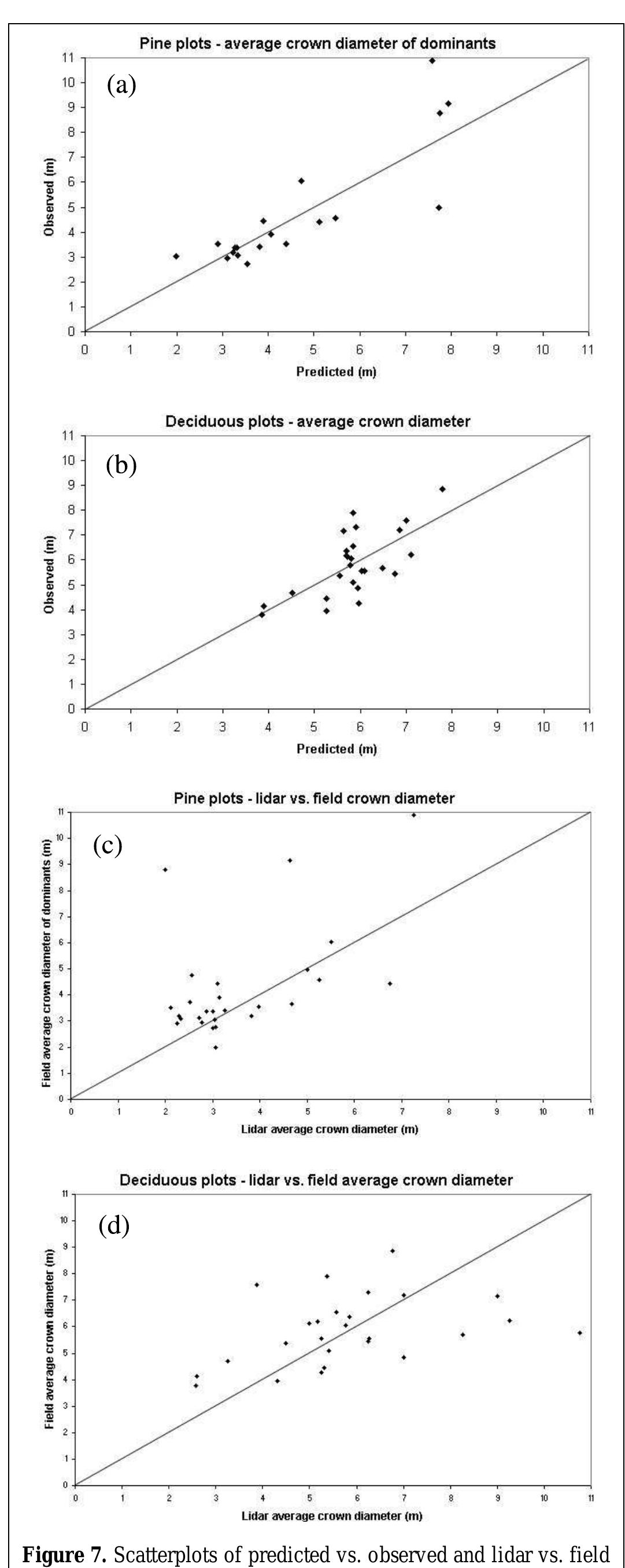 Figure 8 - Measuring individual tree crown diameter with