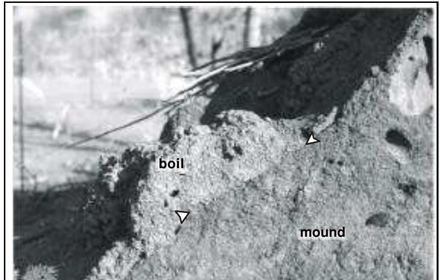 A newly formed ‘boil’ indicating the different texture of