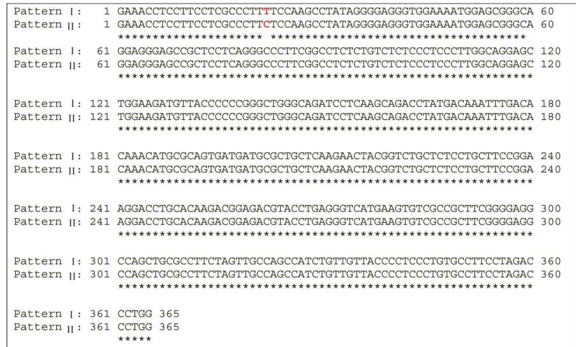 Sequence alignment between two detected patterns.