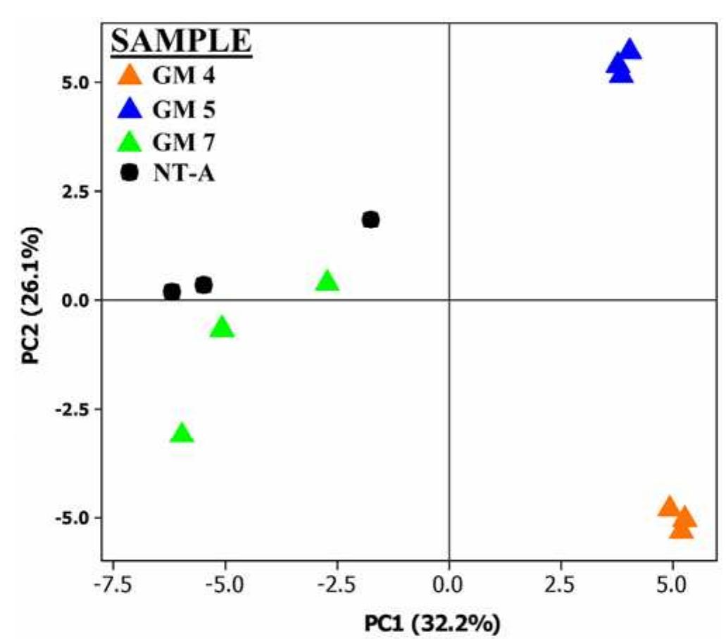 Principal component analysis (pca) of strawberry volatile