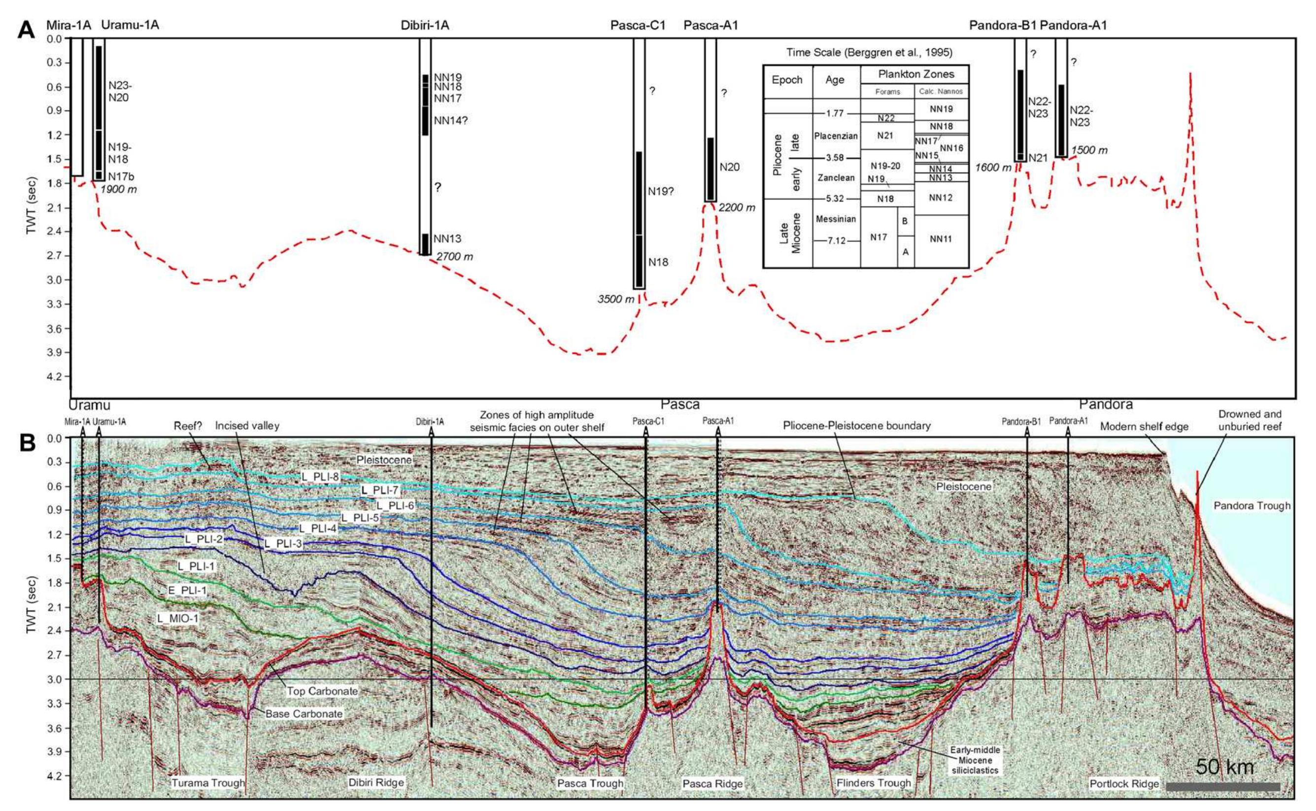 A) schematic cross-section showing configuration of the
