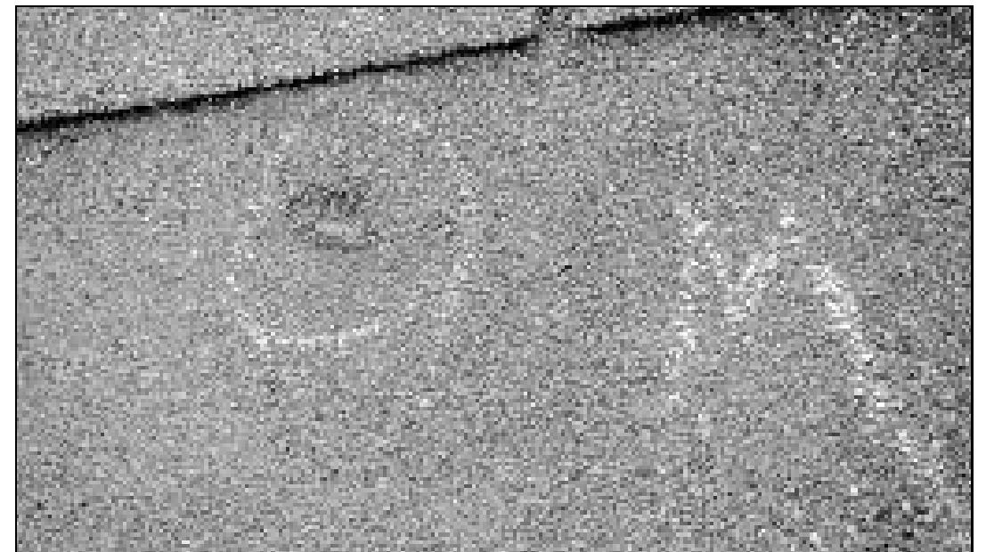 Figure 4 - from Protocol for assessment of hail-damaged