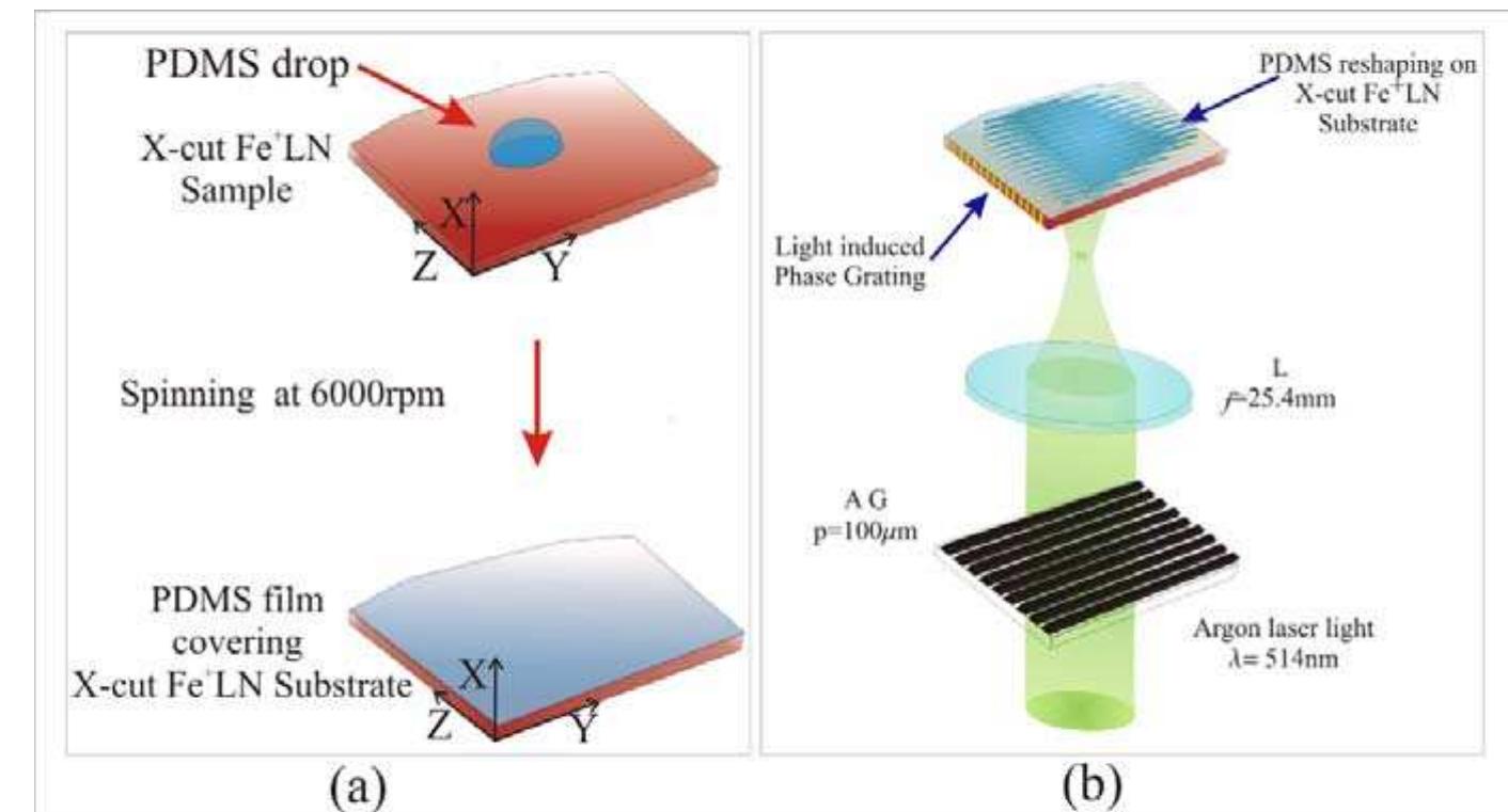 -1 schematic procedure for fabricating pdms periodic
