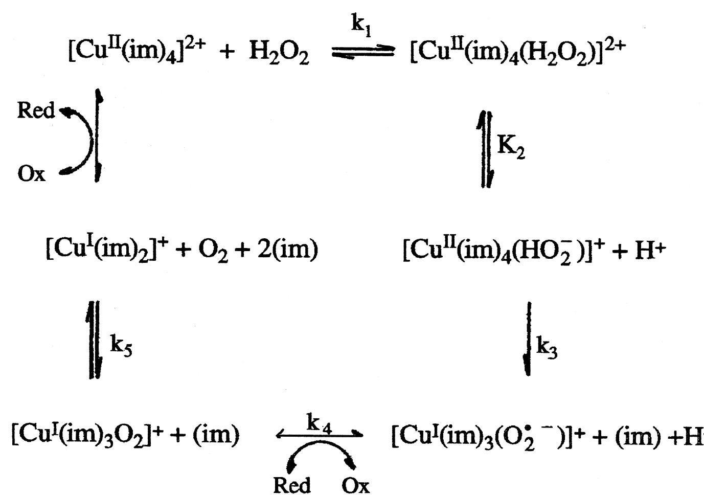 I reaction scheme for the decomposition of hydrogen peroxide