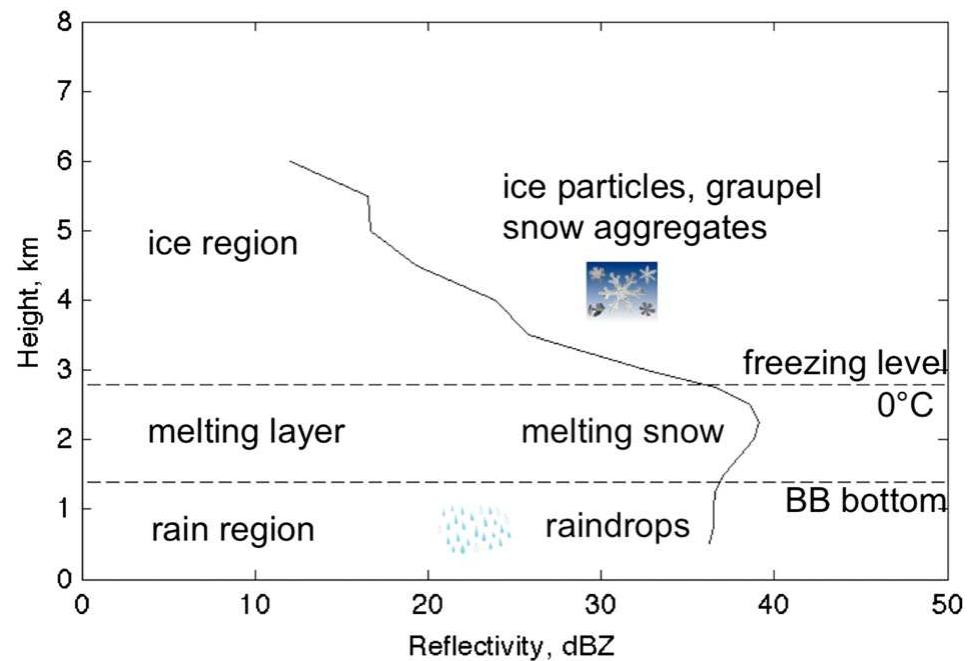 [s] the scattering characteristics of hydrometeors depend