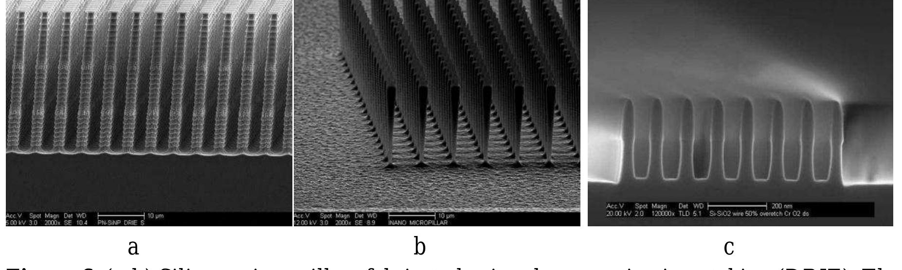Place. figure 6 depicts some micro/nano structures with high