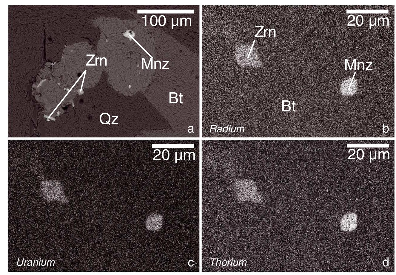 (a) large-scale scanning electron microscope (sem) image and