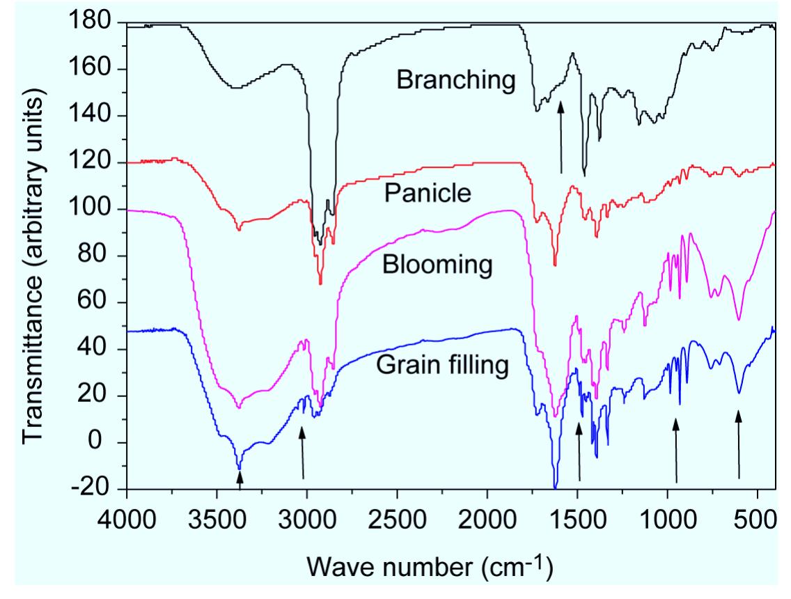 Figure 3 - from Quinoa Saponins: Concentration and