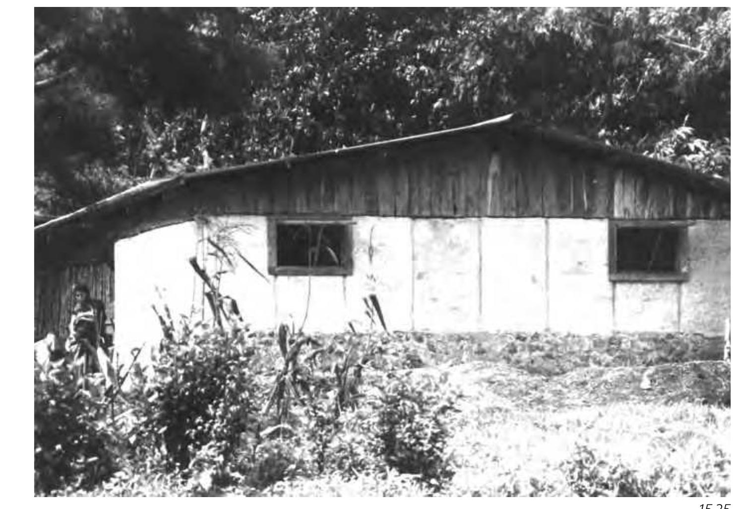 Bamboo-reinforced rammed earth walls