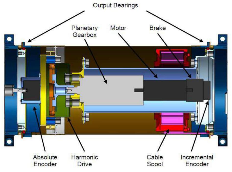 Cross section of hip pitch joint actuator most of the