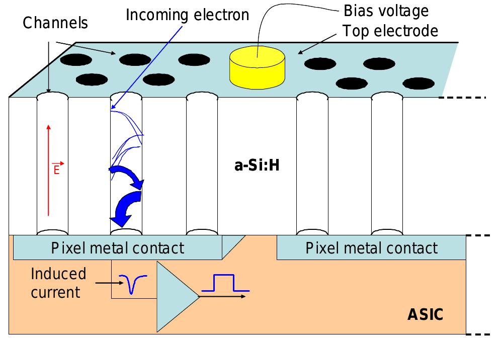 Schematic view of an a-si:h based mcp (amcp) structure,