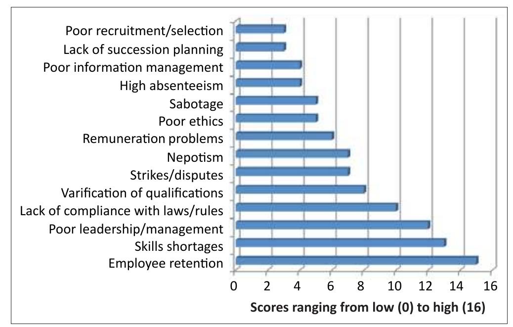 (PDF) Human resources risk management: Governing people risks for ...