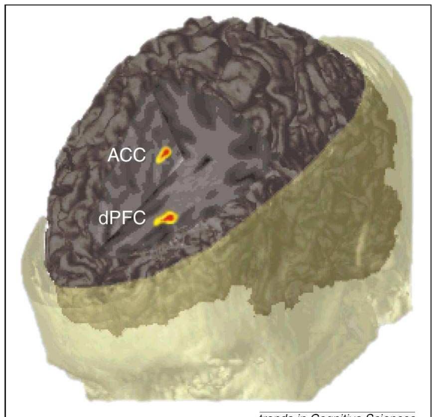 Brain activity measured using event-related fmri during