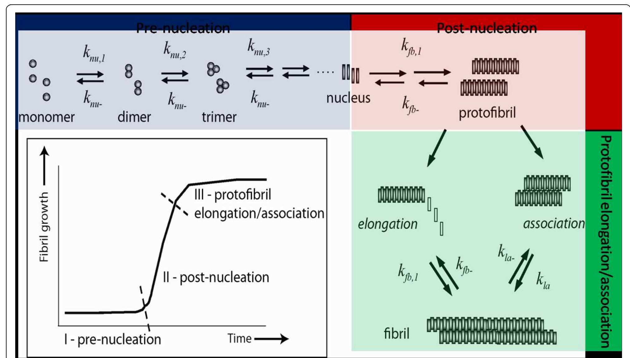 Kinetics of ab aggregation pathway. schematic diagram for ab
