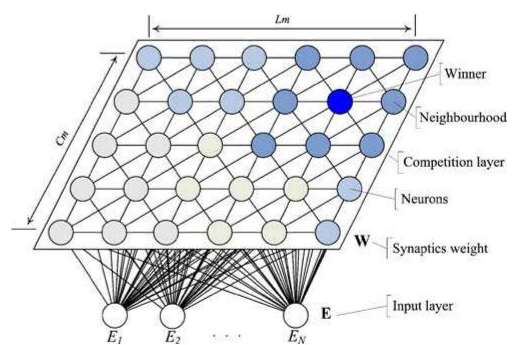 Basic som structure