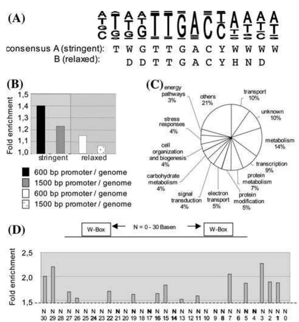 Motif analysis of wrky binding sites. (a) sequence logos