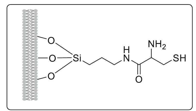 The Schematic Drawing Of L Cysteine Functionalized