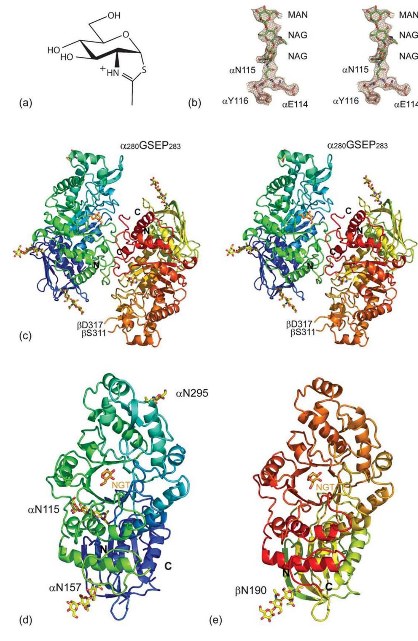 Asg~w-?* (a) hex a structure. chemical structure of ngt. (b)