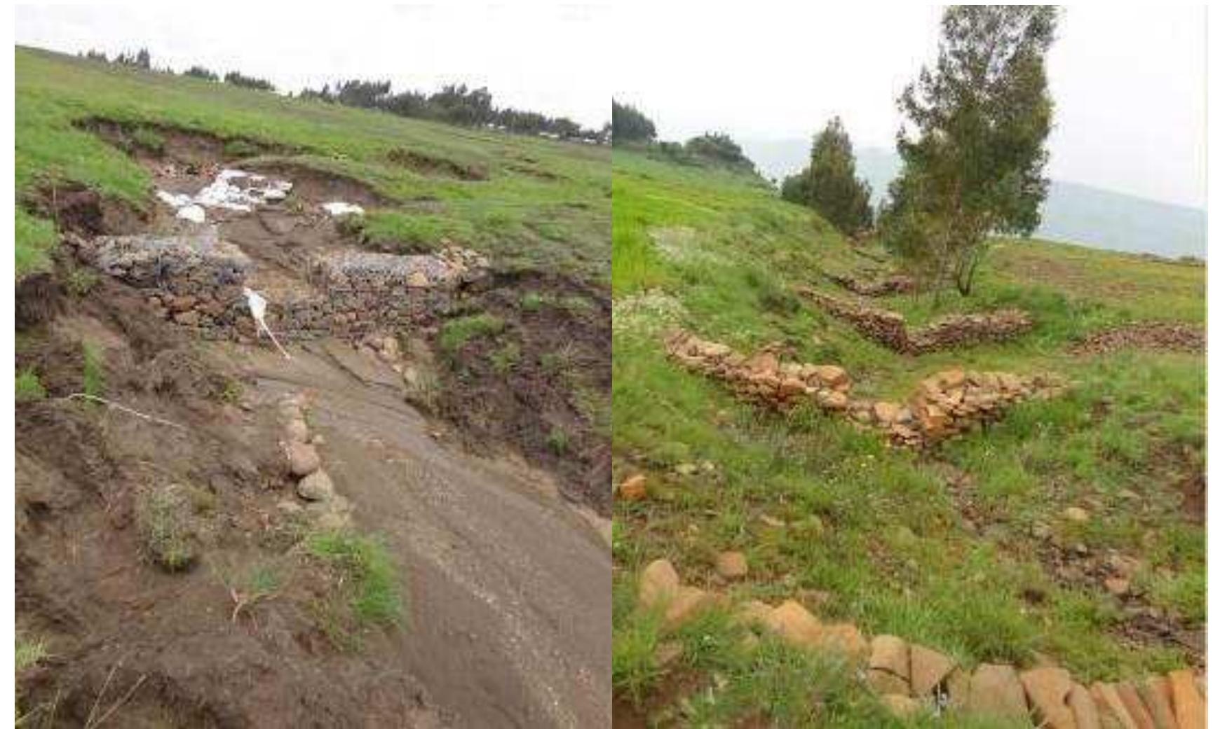 Gambion checkdams were the main types being used in these