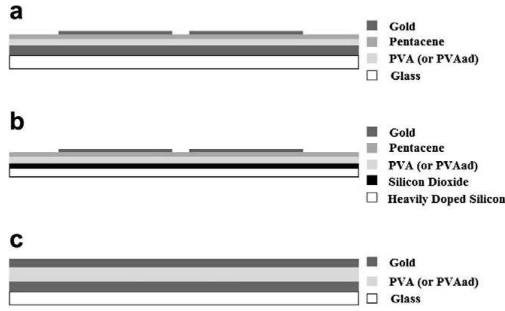 Schematic illustration of the tested devices: (a) transistor