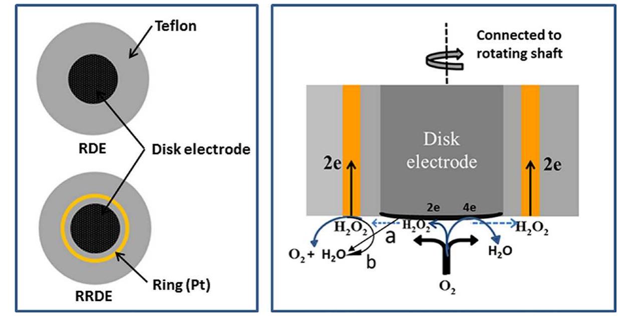 Schematic representation of the rde and rrde (left panel),