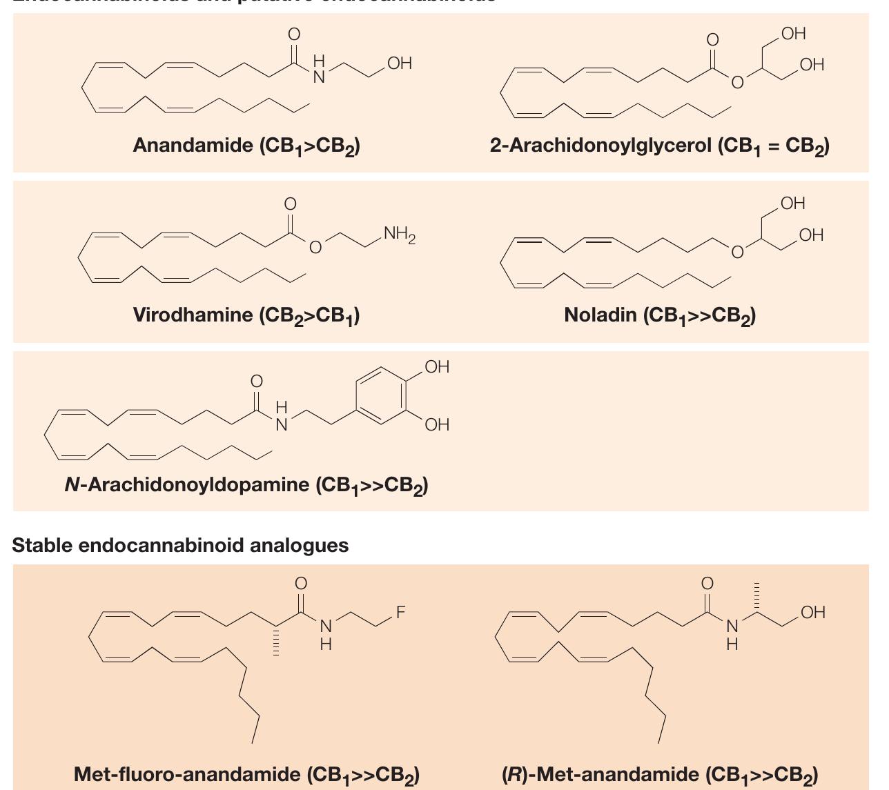 | chemical structures of endocannabinoids. chemical